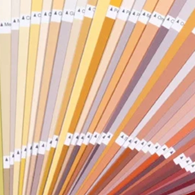 Caparol 3D-plus Farbtonblock WERKMIT®